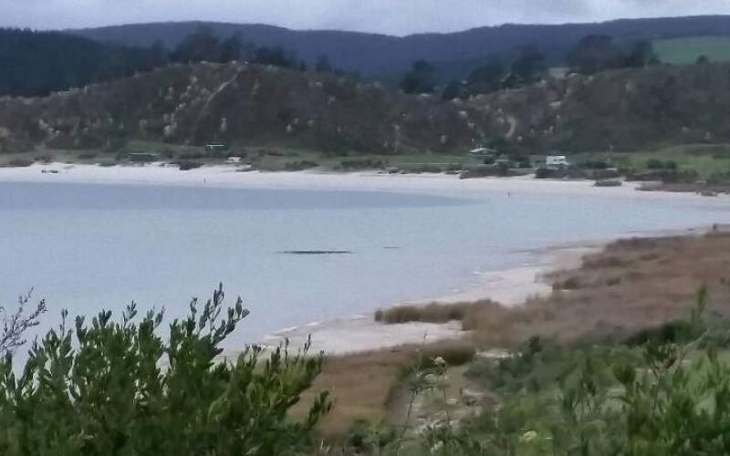 Taharoa Domain Campground (Pine Beach) | Freedom/Basic Camp | New Zealand